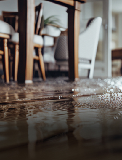 Coastal Shield Insurance